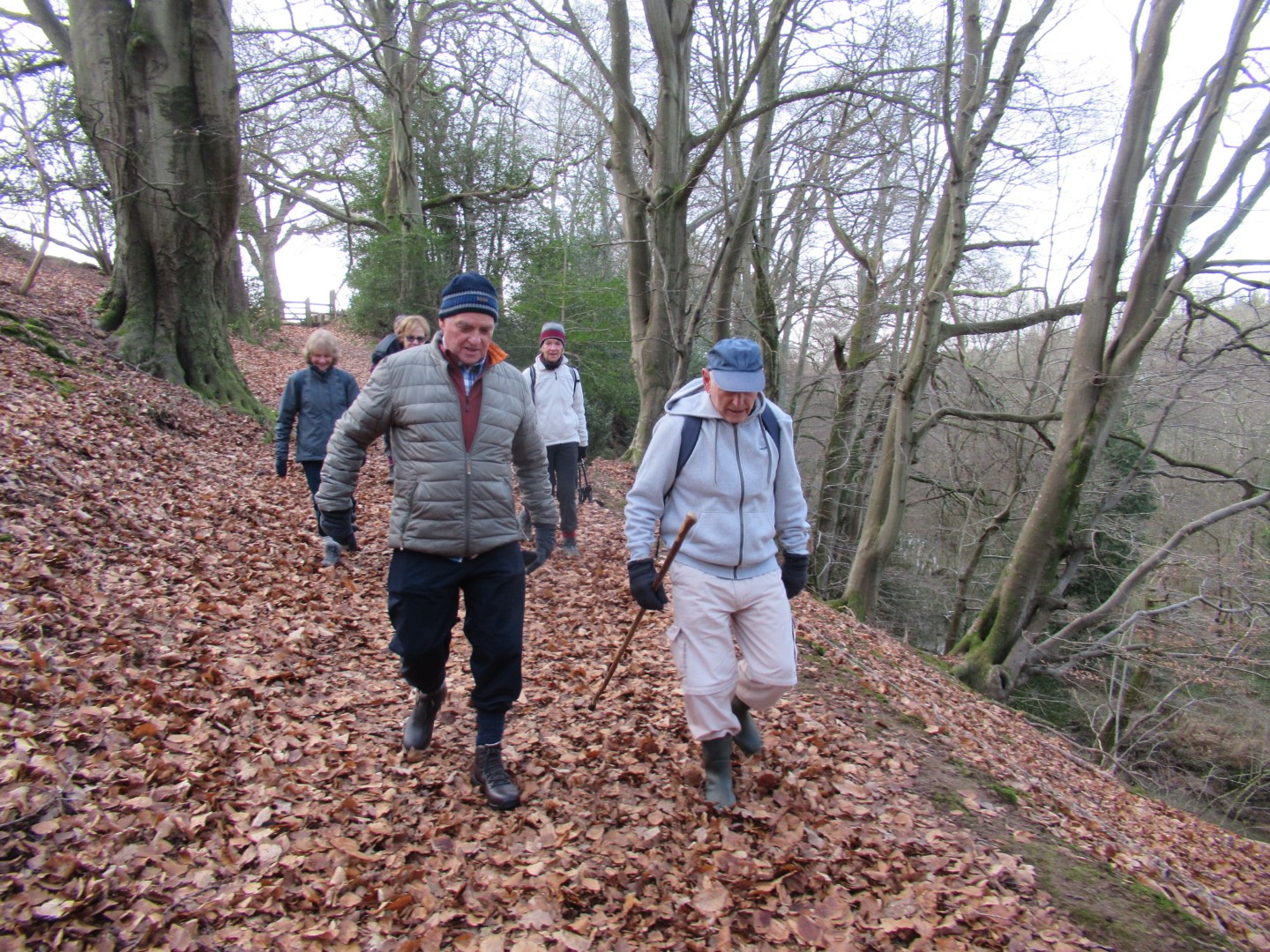 Halfway Bridge walk on 1st February 2023 | Midhurst Footpath Companions