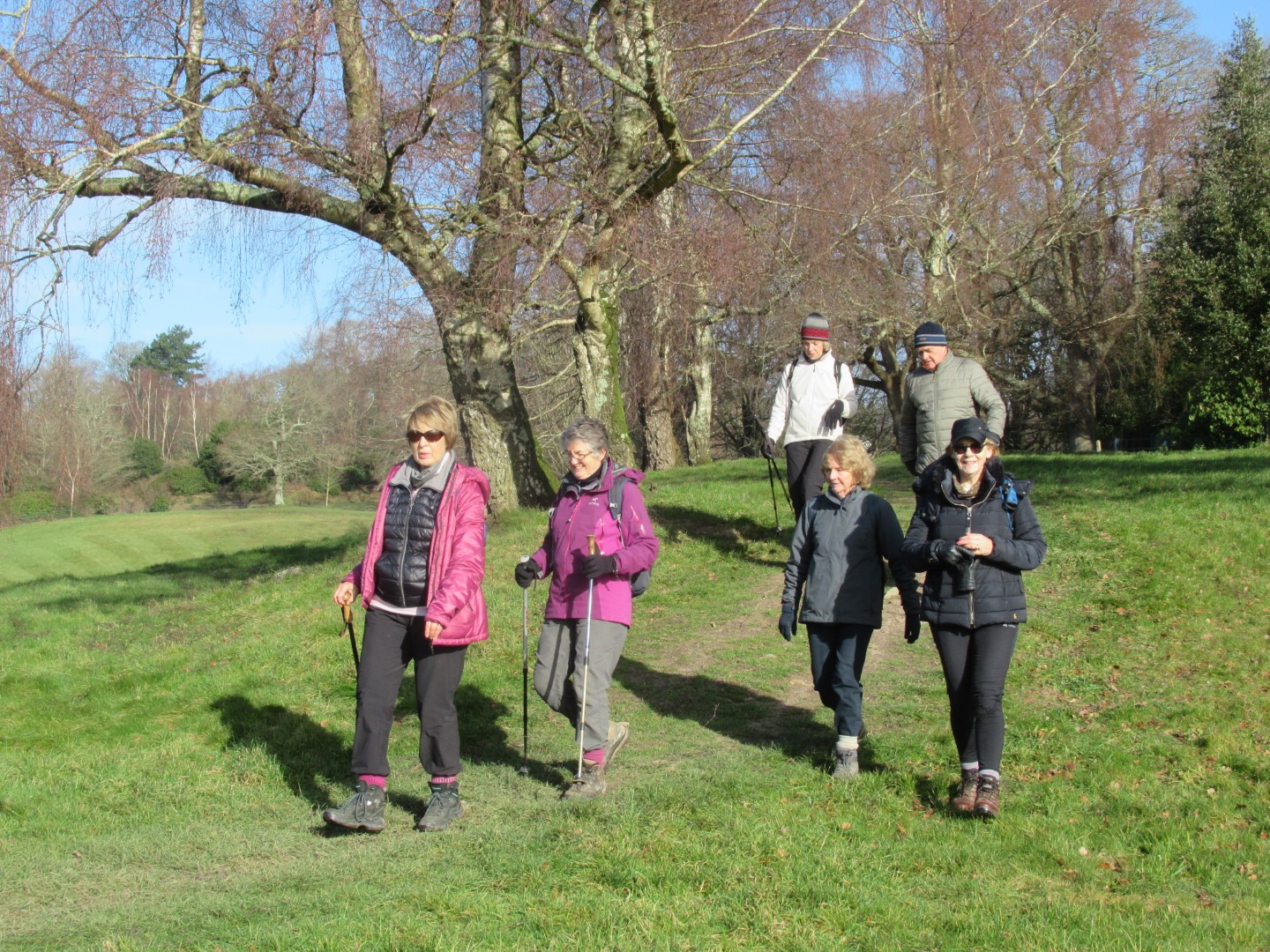Halfway Bridge walk on 1st February 2023 | Midhurst Footpath Companions