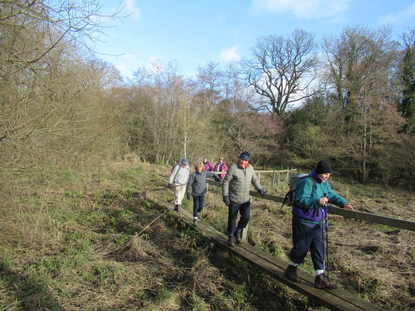 Halfway Bridge walk on 1st February 2023 | Midhurst Footpath Companions