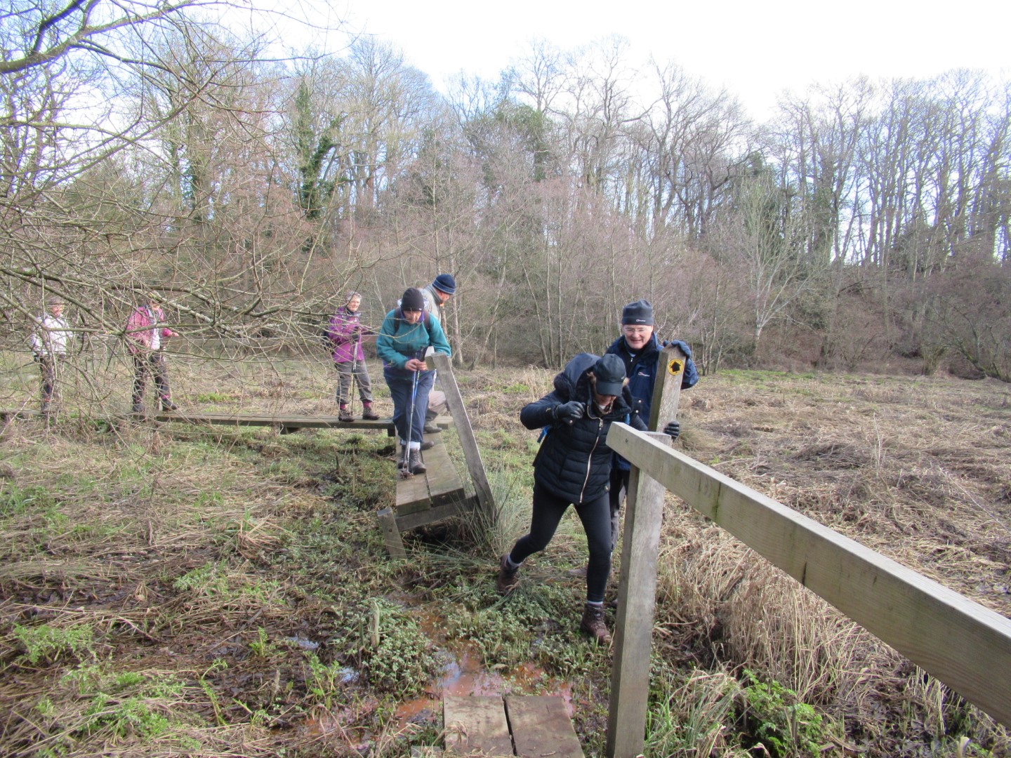 Halfway Bridge walk on 1st February 2023 | Midhurst Footpath Companions