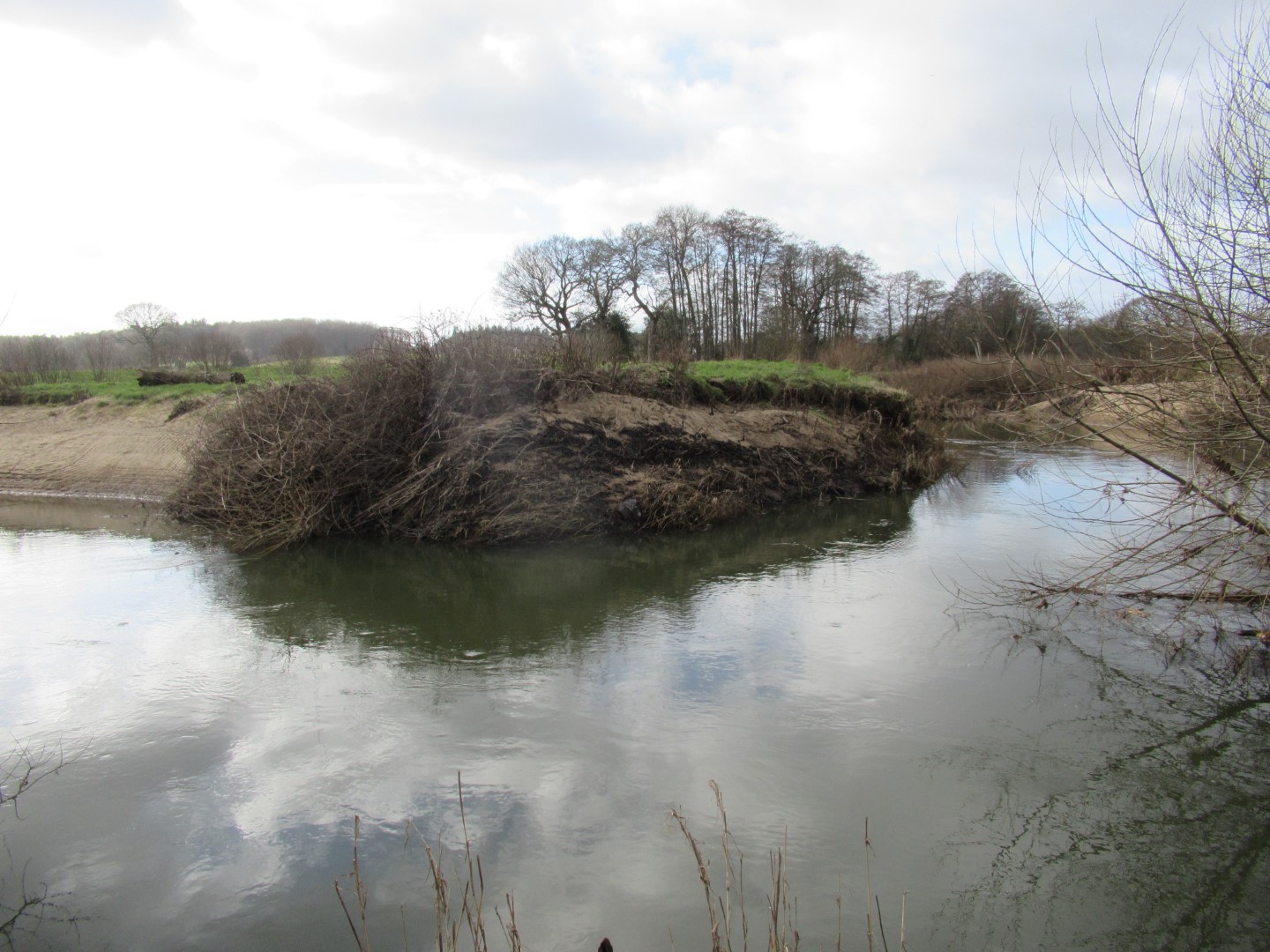 Halfway Bridge walk on 1st February 2023 | Midhurst Footpath Companions