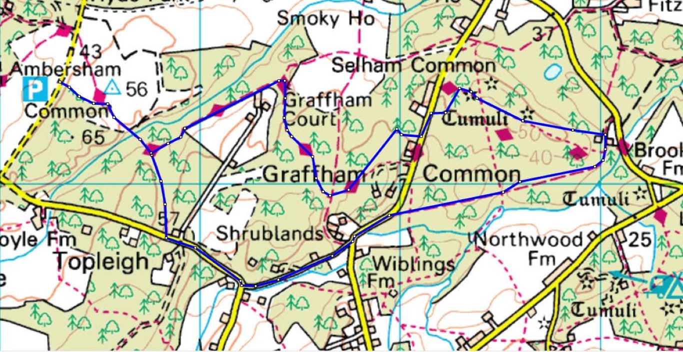 Ambersham Common walk on 9th February 2022 | Midhurst Footpath Companions