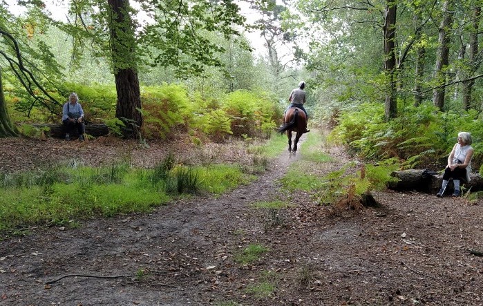 Bubble Walks 16th September 2020 | Midhurst Footpath Companions