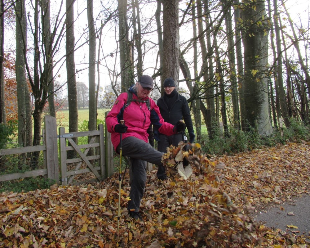 Walderton walk 24th November 2021 | Midhurst Footpath Companions