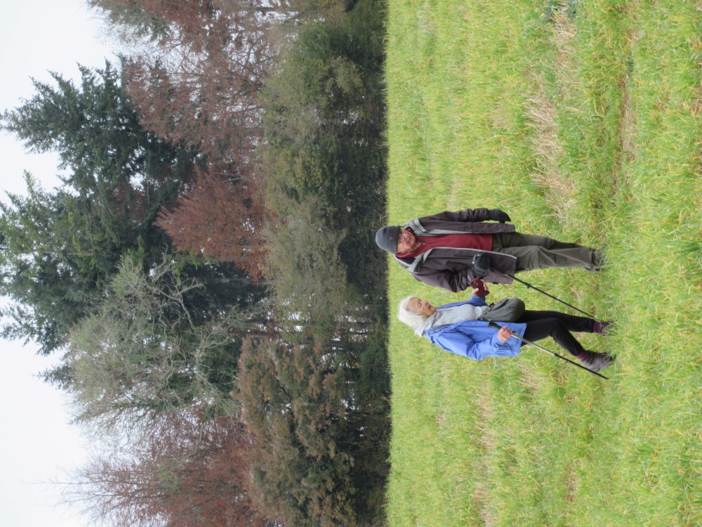 Walderton walk 24th November 2021 | Midhurst Footpath Companions