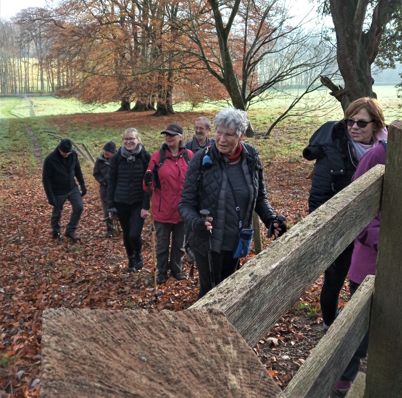 Walderton walk 24th November 2021 | Midhurst Footpath Companions
