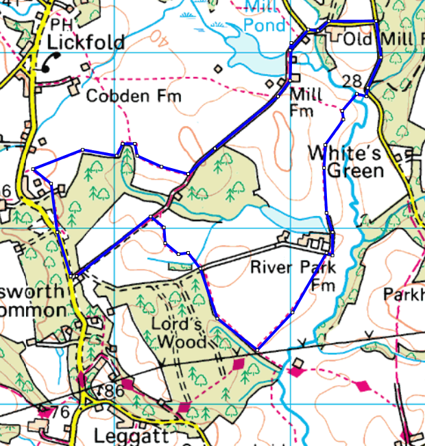 Bubble Walks 2nd September 2020 | Midhurst Footpath Companions