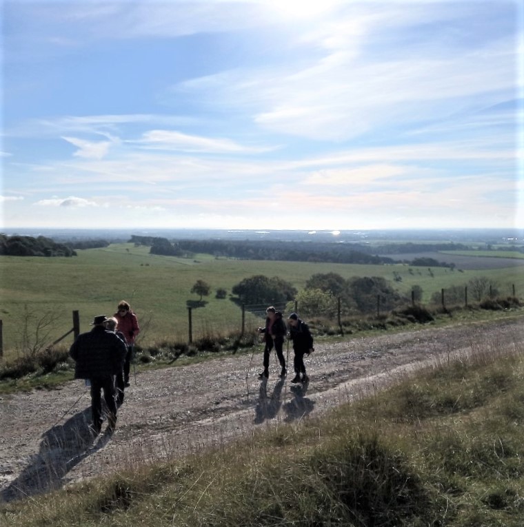 Trundle walk 3rd November 2021 | Midhurst Footpath Companions