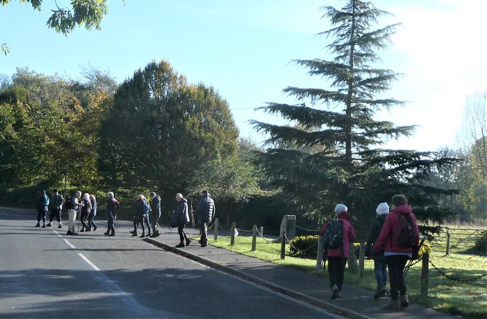 Trundle walk 3rd November 2021 | Midhurst Footpath Companions