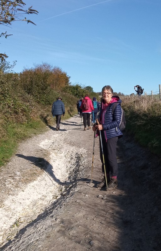 Trundle walk 3rd November 2021 | Midhurst Footpath Companions