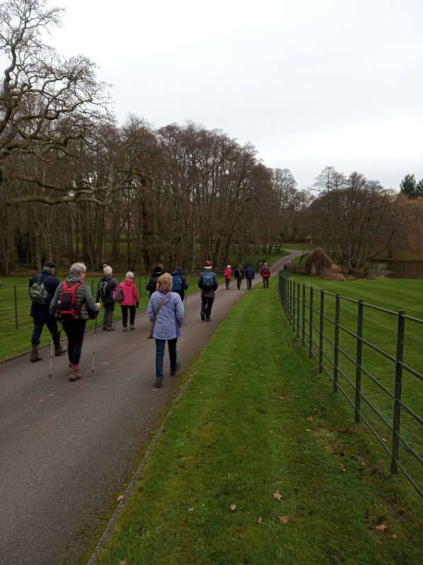 Liphook Walk on 22nd December 2021 | Midhurst Footpath Companions