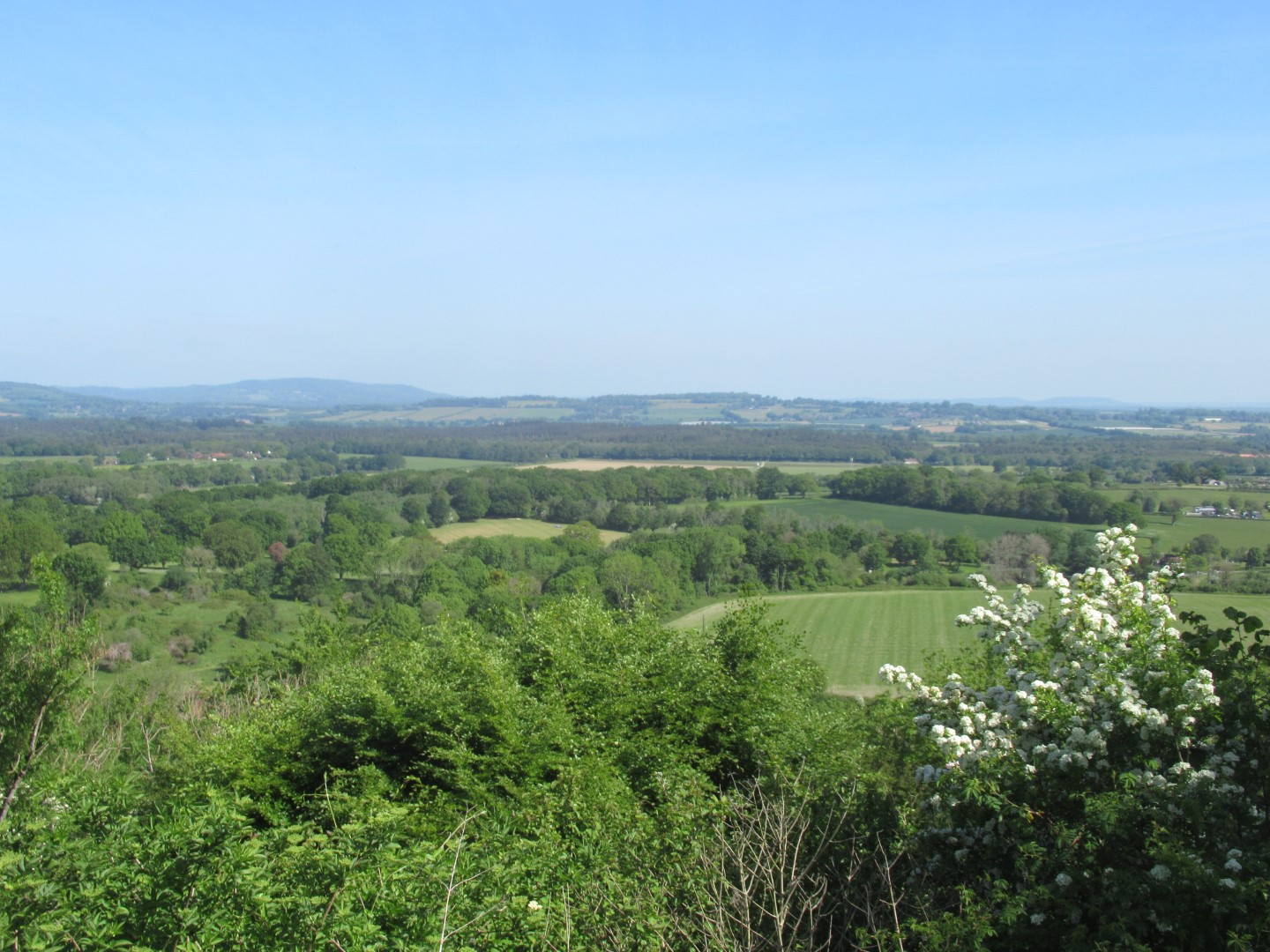 Duncton walk on 24th May 2023 | Midhurst Footpath Companions