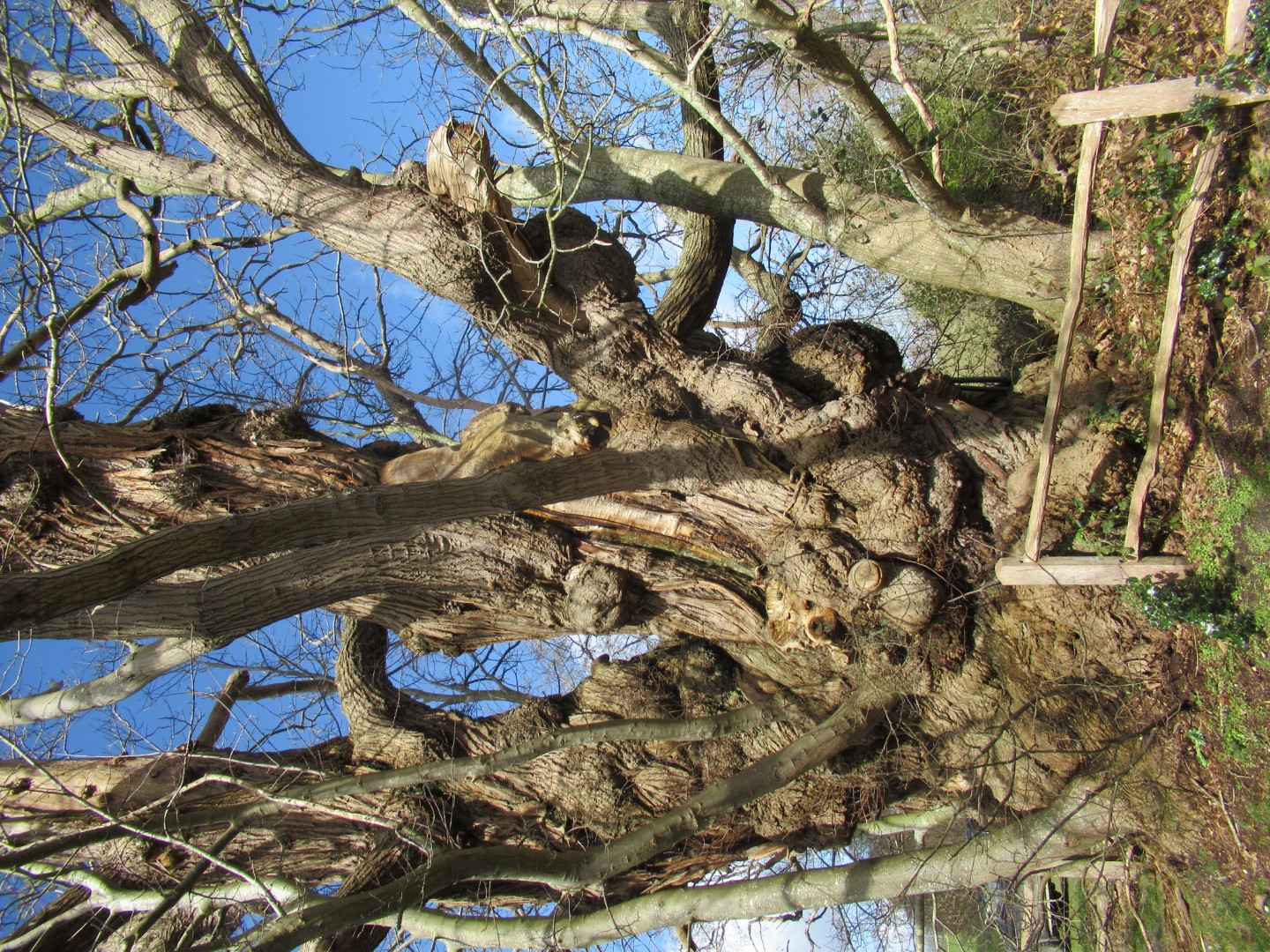 Duncton Walk on 12th April 2023 | Midhurst Footpath Companions