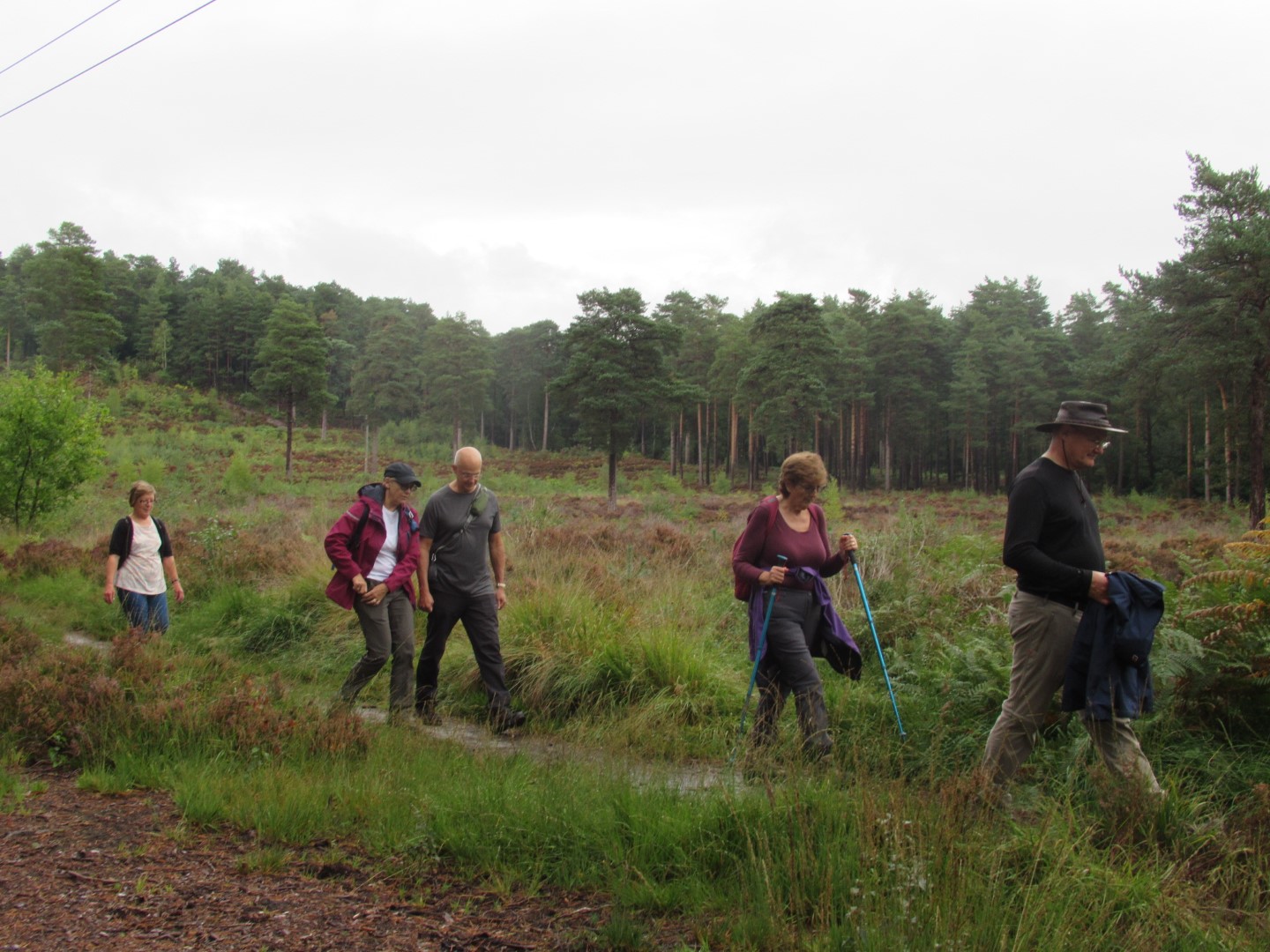 Easebourne, Woolbeding walk on 14th September 2022 | Midhurst Footpath ...