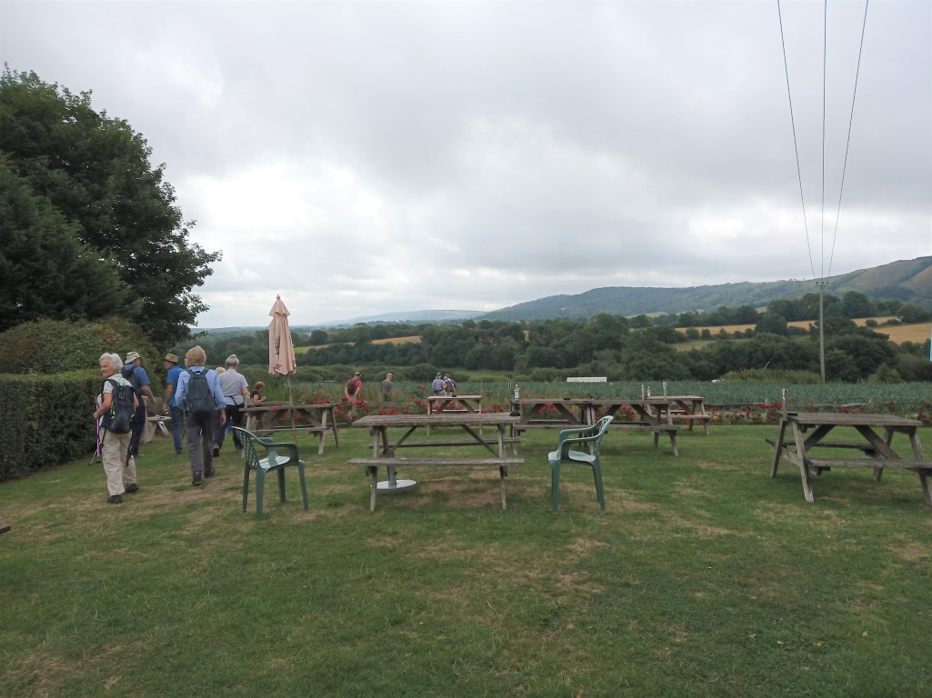 Elsted walk on 24th August 2022 | Midhurst Footpath Companions