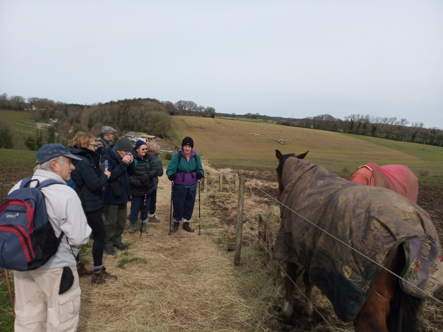 Farnham short walk on 15th March 2023 | Midhurst Footpath Companions
