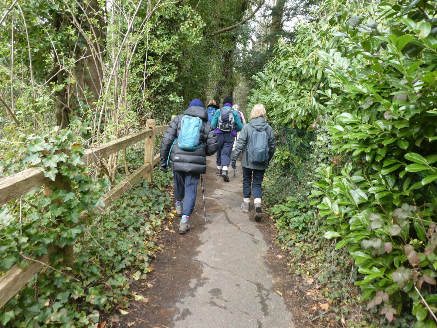 Farnham short walk on 15th March 2023 | Midhurst Footpath Companions