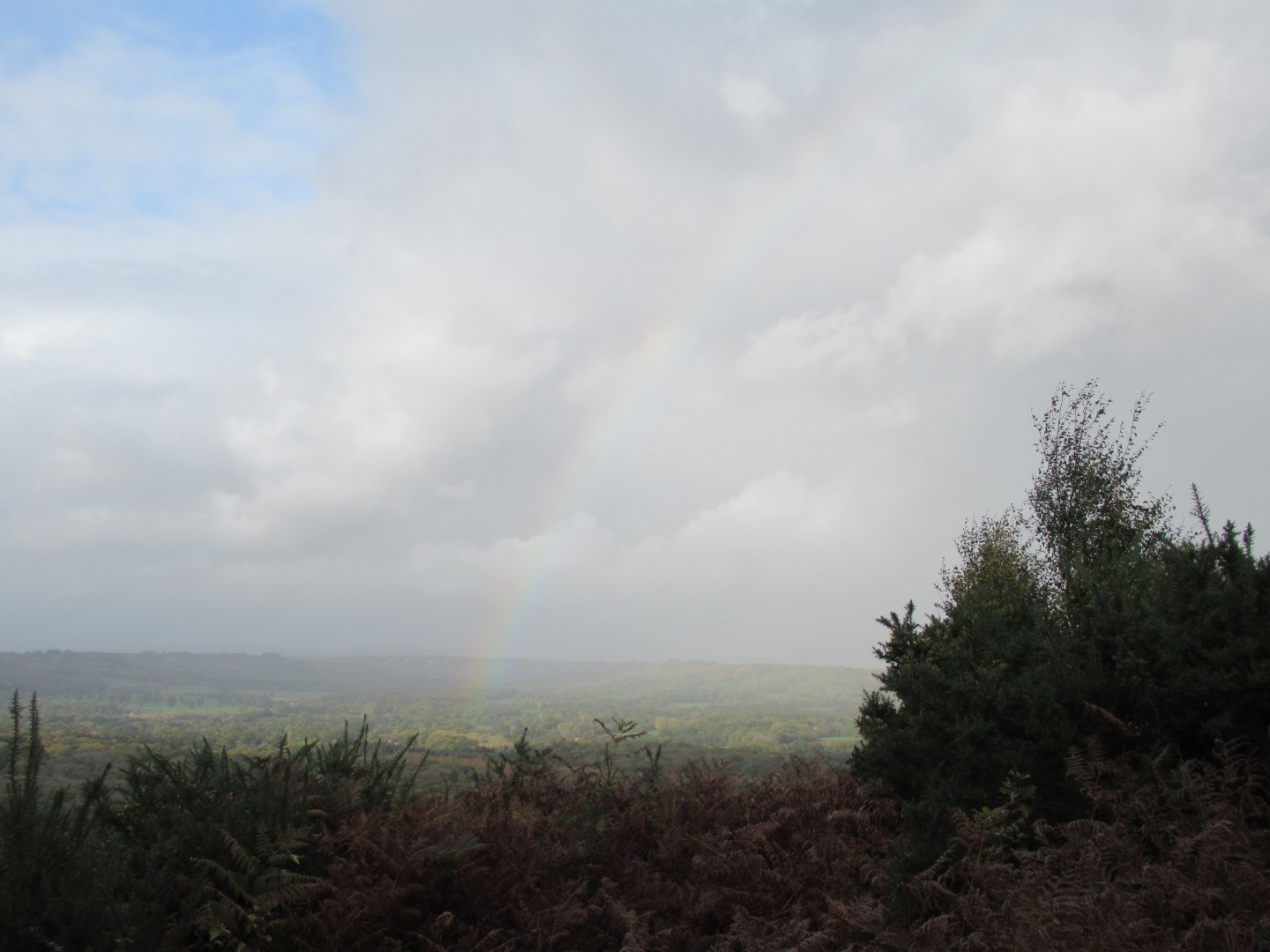 Five Hills long walk on 8th November 2022 | Midhurst Footpath Companions
