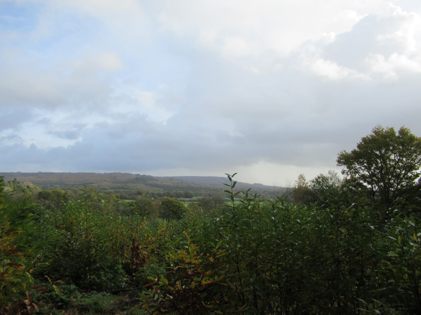 Five Hills long walk on 8th November 2022 | Midhurst Footpath Companions