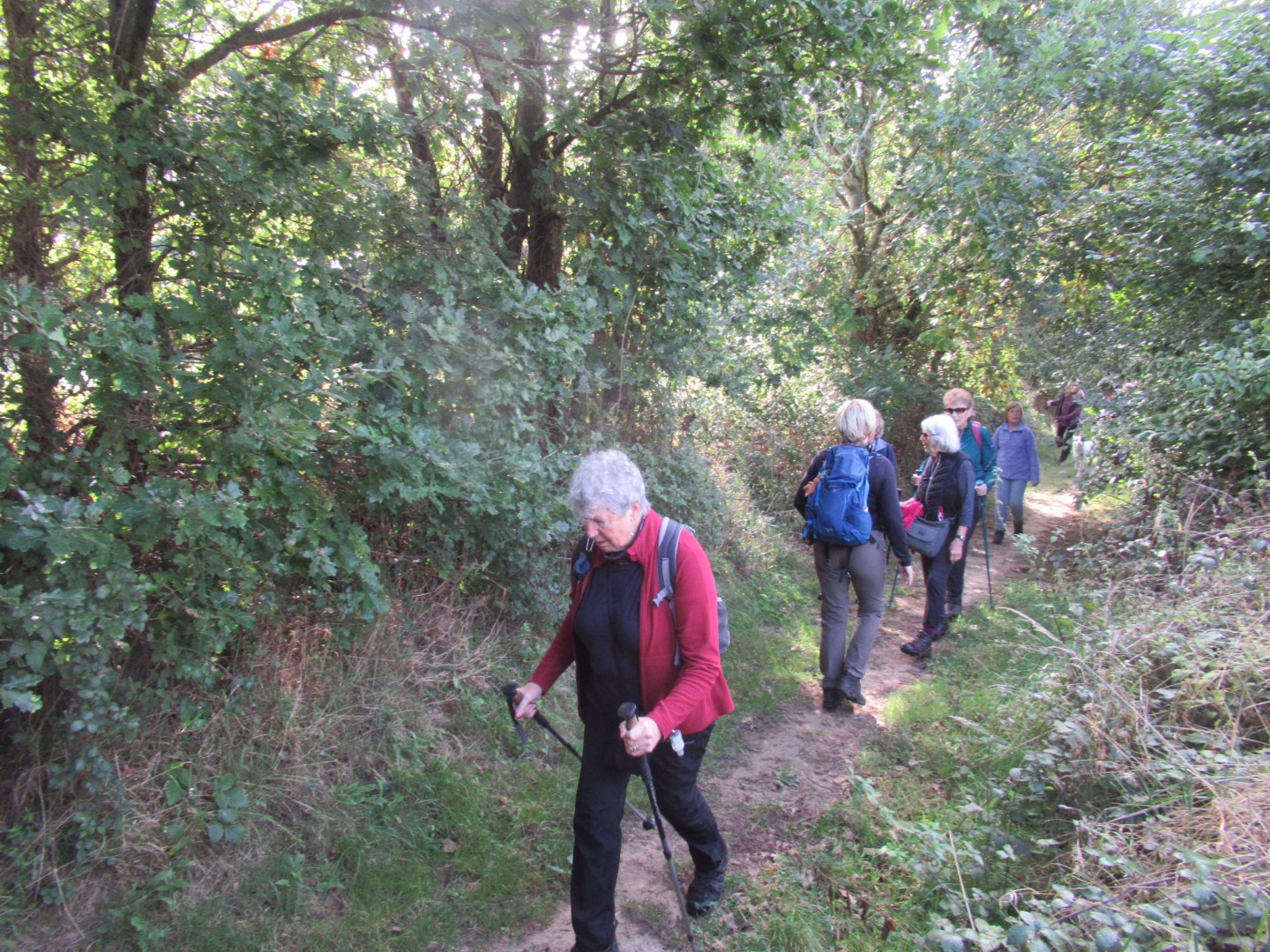 Halfway Bridge, Lodsworth walk on 4th October 2023 | Midhurst Footpath ...