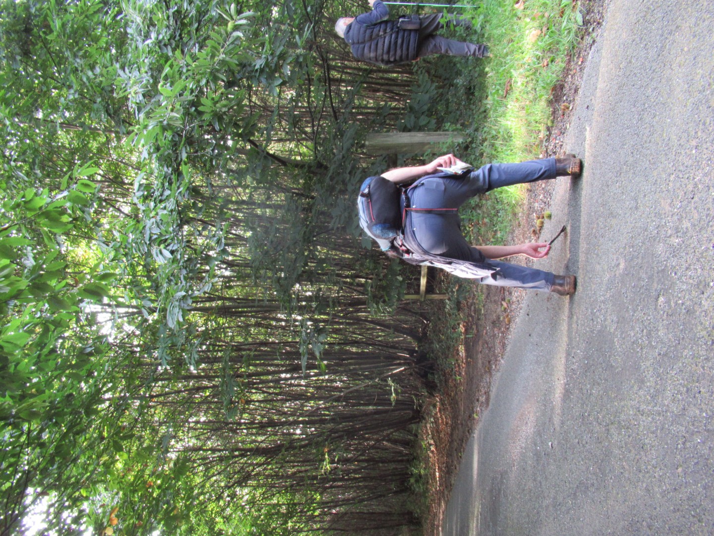 Halfway Bridge, Lodsworth walk on 4th October 2023 | Midhurst Footpath ...