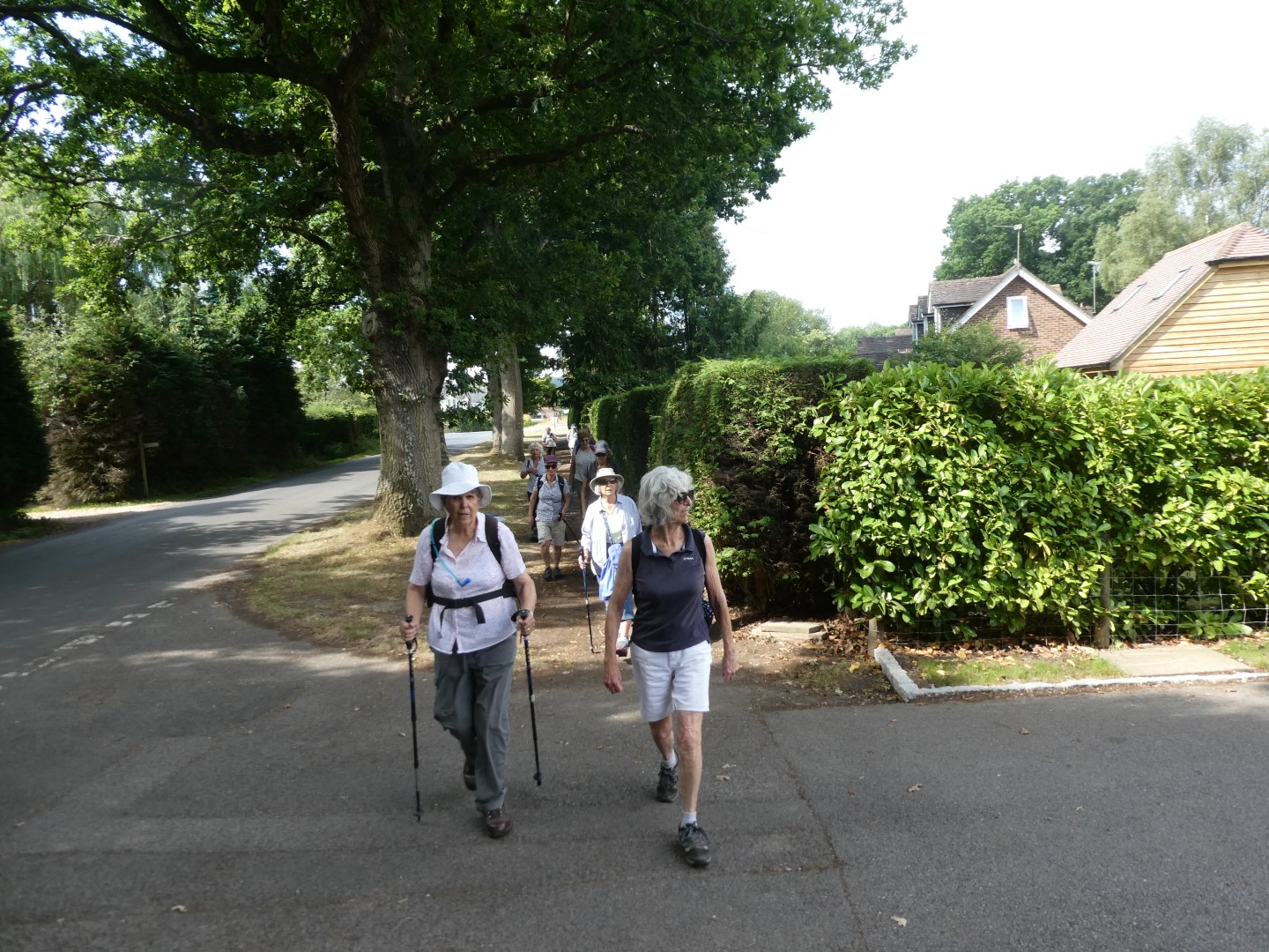 Milland Morning walk 20th July 2022 | Midhurst Footpath Companions