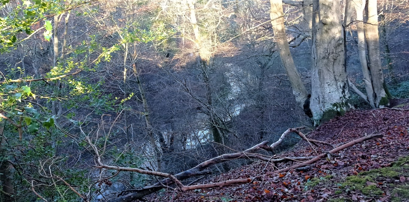 River walk 12th January 2022 | Midhurst Footpath Companions