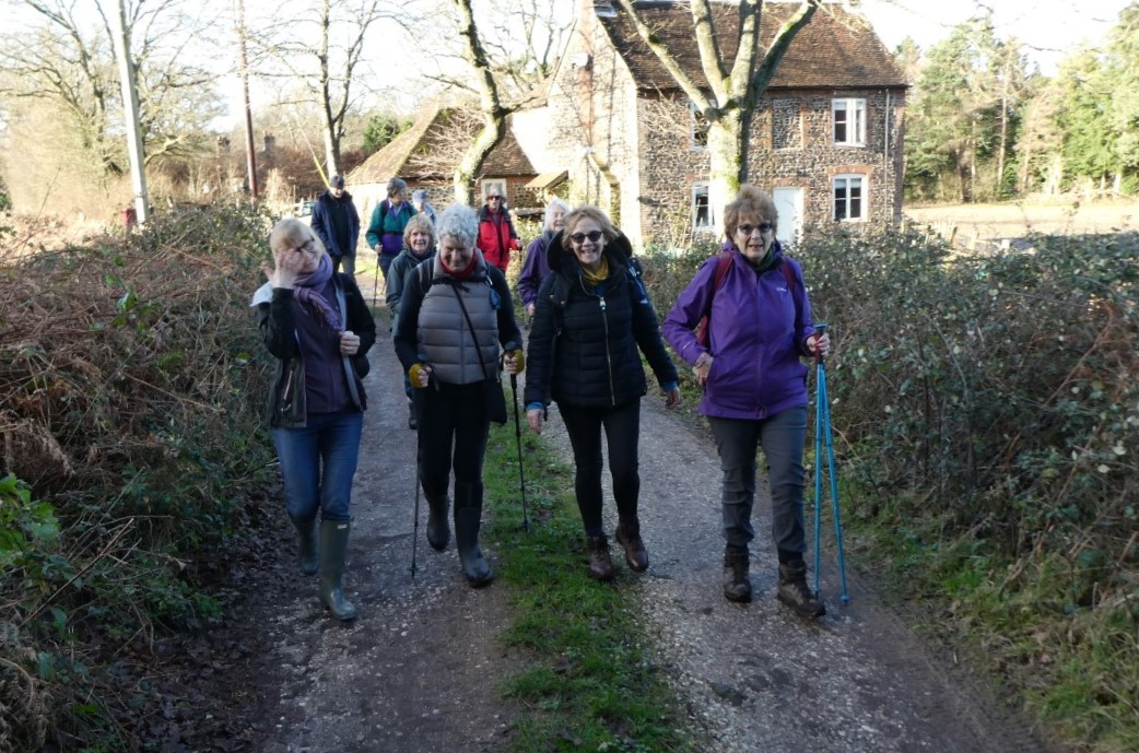 Stedham walk on 11th January 2023 | Midhurst Footpath Companions