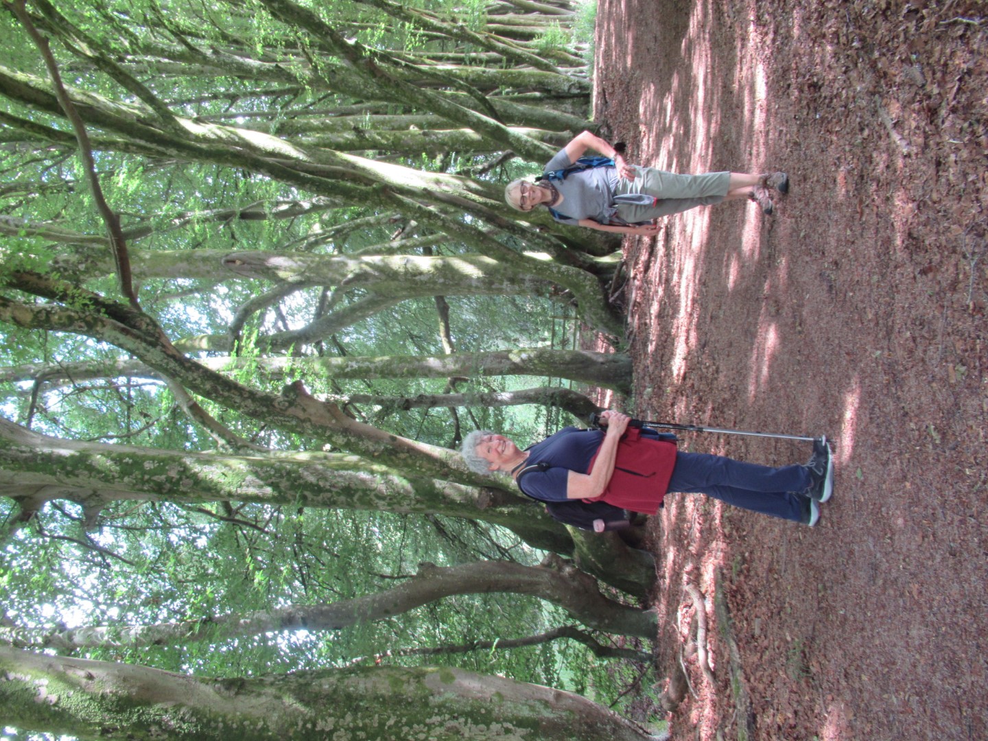 Stoughton Walks West Sussex at Dennis Marquis blog