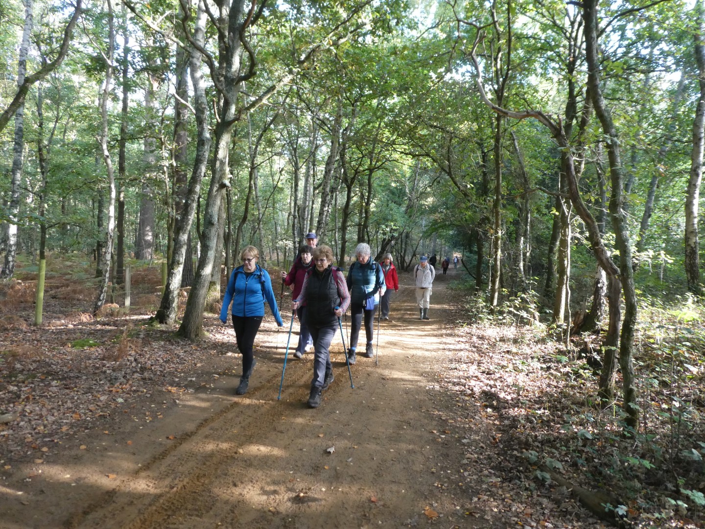 Tilford walk on 12th October 2022 | Midhurst Footpath Companions
