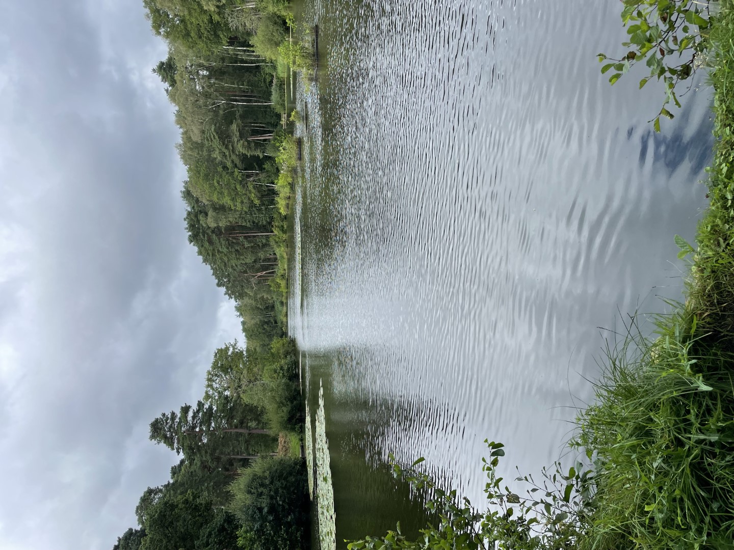 Tilford walk on 2nd August 2023 | Midhurst Footpath Companions
