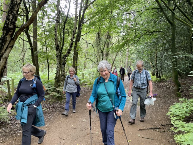 Tilford walk on 2nd August 2023 | Midhurst Footpath Companions