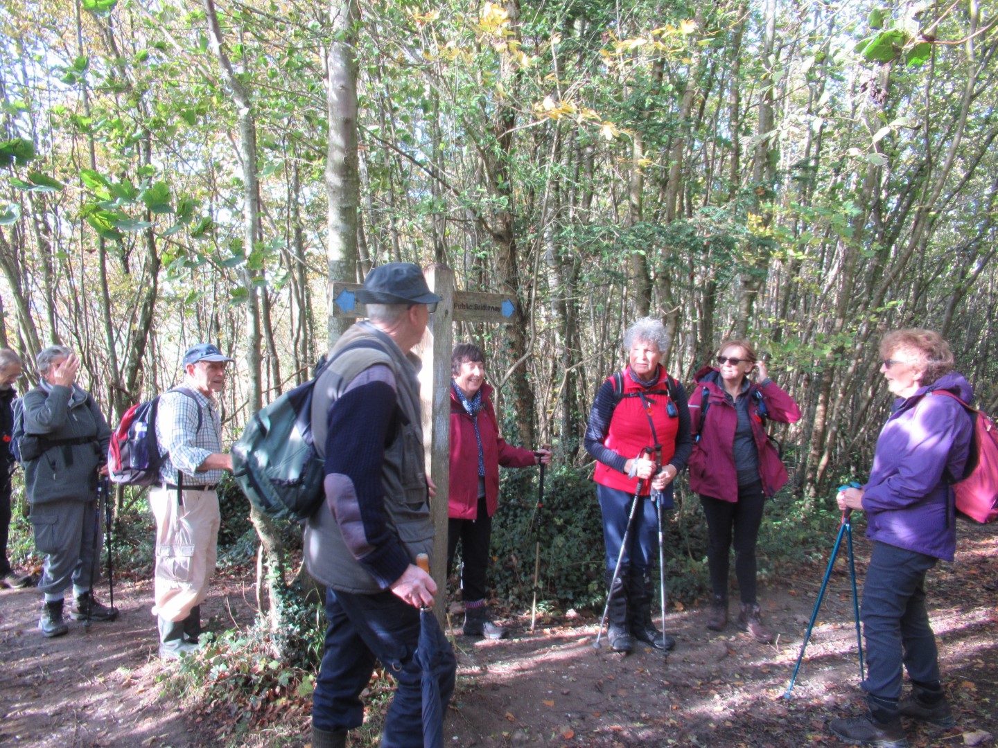 Walderton walk on 9th November 2022 | Midhurst Footpath Companions