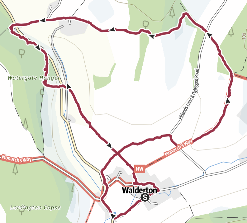 Walderton walk on 9th November 2022 | Midhurst Footpath Companions